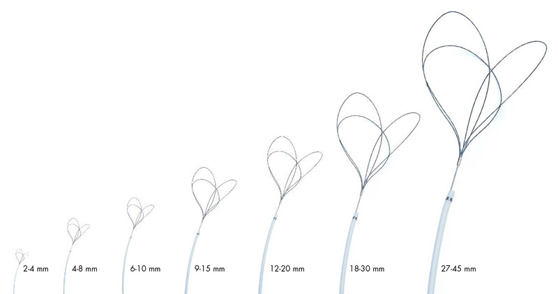 EN Snare® Endovascular Snare System - Merit Medical Systems, Inc.