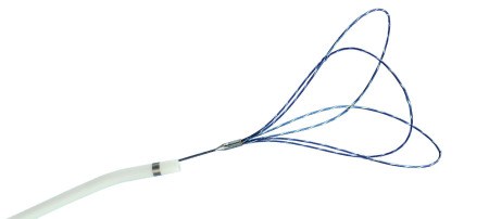 EN Snare® Endovascular Snare System | Merit Medical