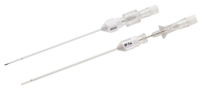 One-Step™ Centesis Catheters - with Echo Enhanced Needle