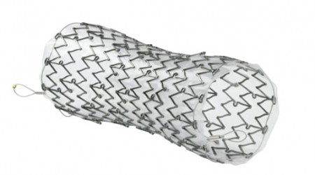 EndoMAXX® Fully Covered Esophageal Stent - Merit Medical