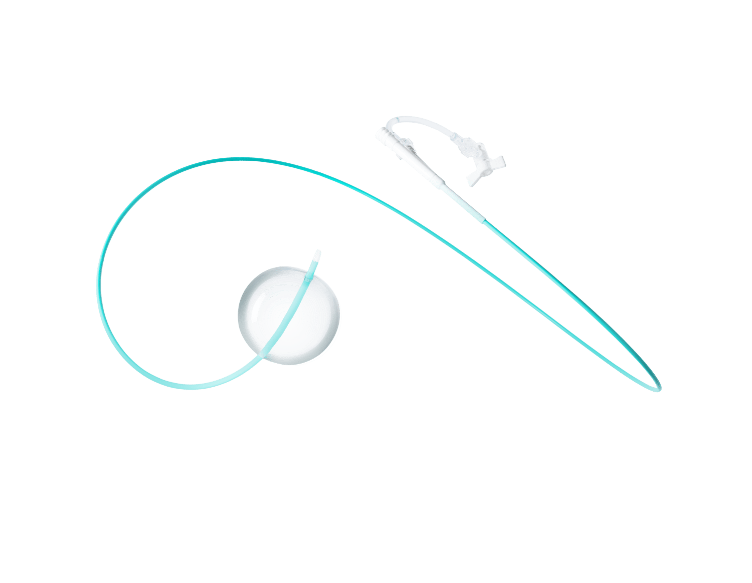 EN Snare® Endovascular Snare System | Merit Medical