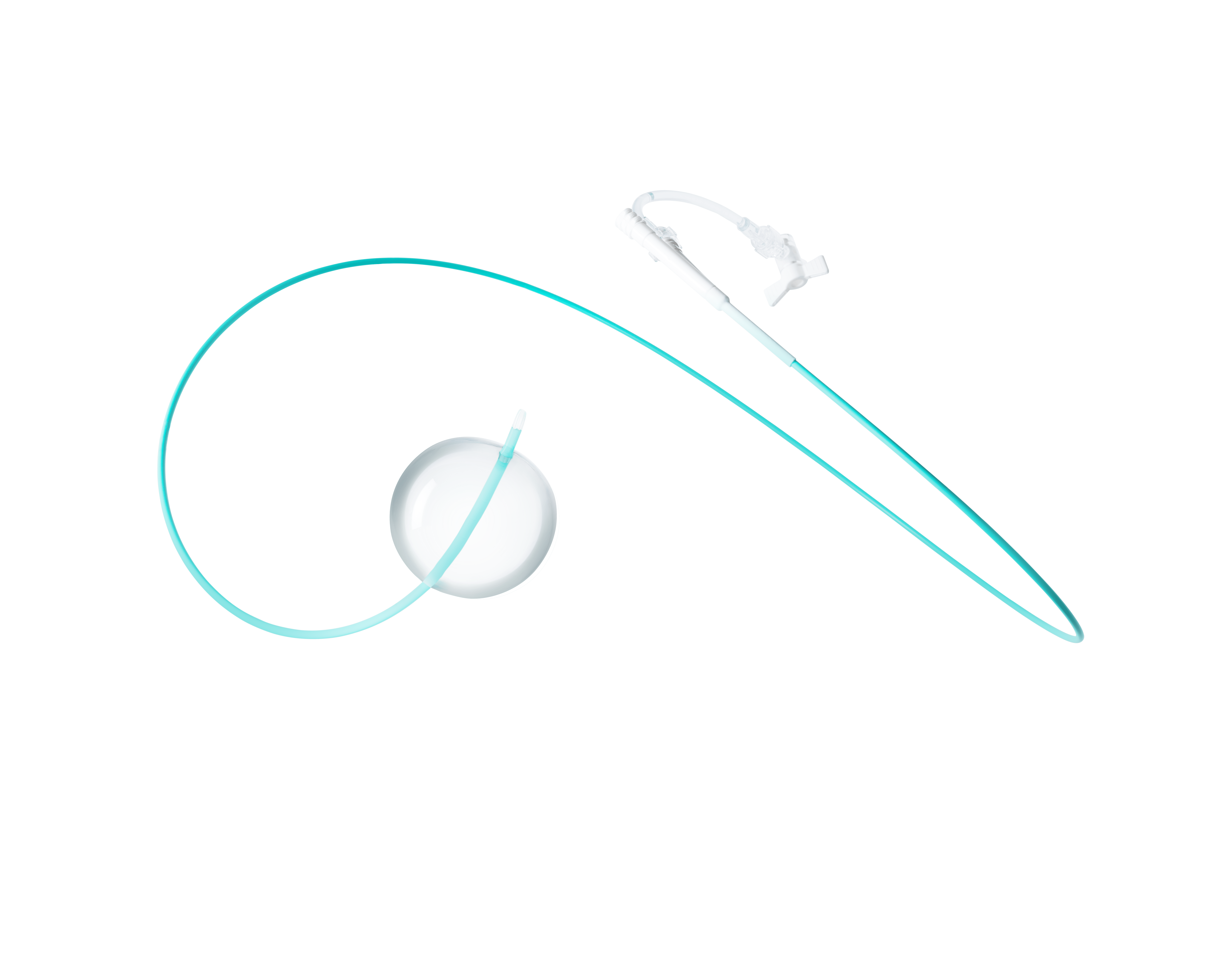 Q50® PLUS Stent Graft Balloon Catheter - Innovation by Merit