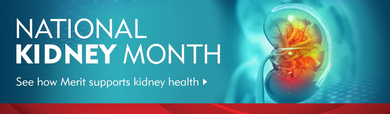 Merit Medical - A Global Leader in the Medical Device Industry