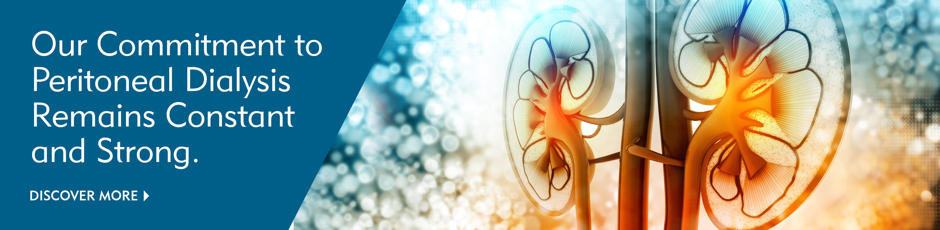 Merit Medical - A Global Leader in the Medical Device Industry