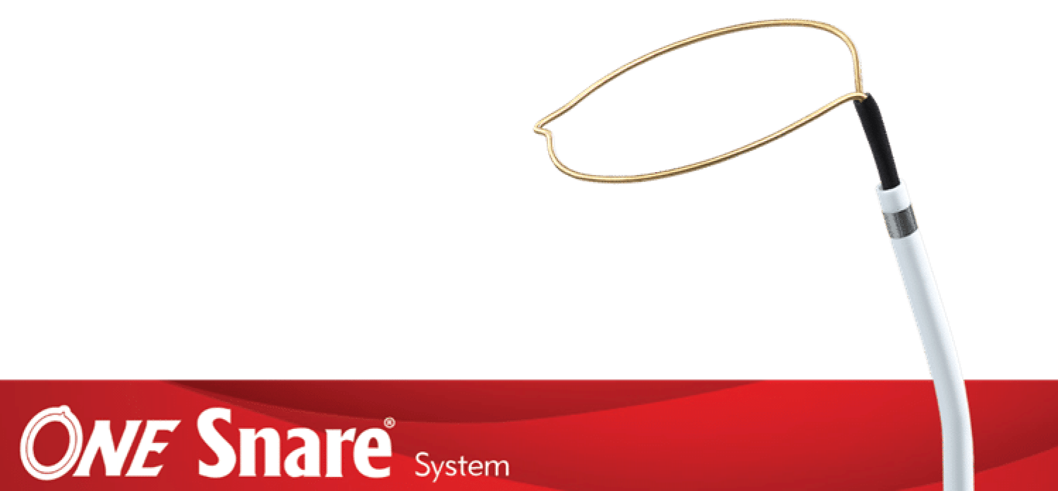 ONE Snare System - LV Lead Delivery Option for Challenging Anatomy