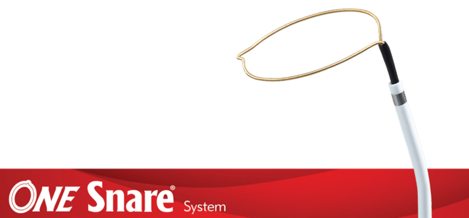 ONE Snare System - LV Lead Delivery Option for Challenging Anatomy