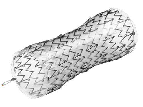 Merit Medical - A Global Leader in the Medical Device Industry