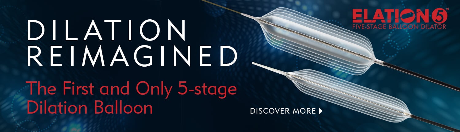 Endoscopy Products - Next Generation Stent Technology by Merit