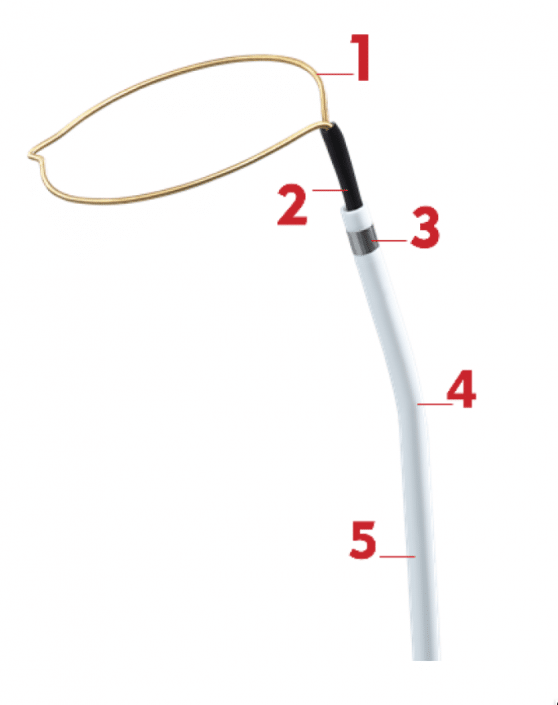 ONE Snare System - LV Lead Delivery Option for Challenging Anatomy