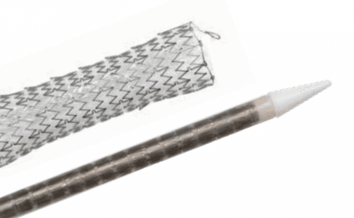 EndoMAXX® Fully Covered Esophageal Stent - Merit Medical