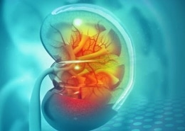 Articles - Explore Merit Medical's News Highlights and Product Updates