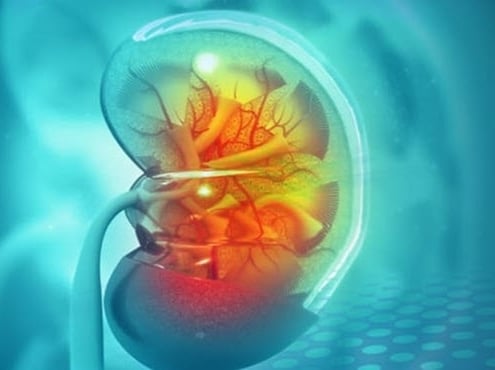 Peripheral Intervention Products - Access, Angiography, Biopsy & More