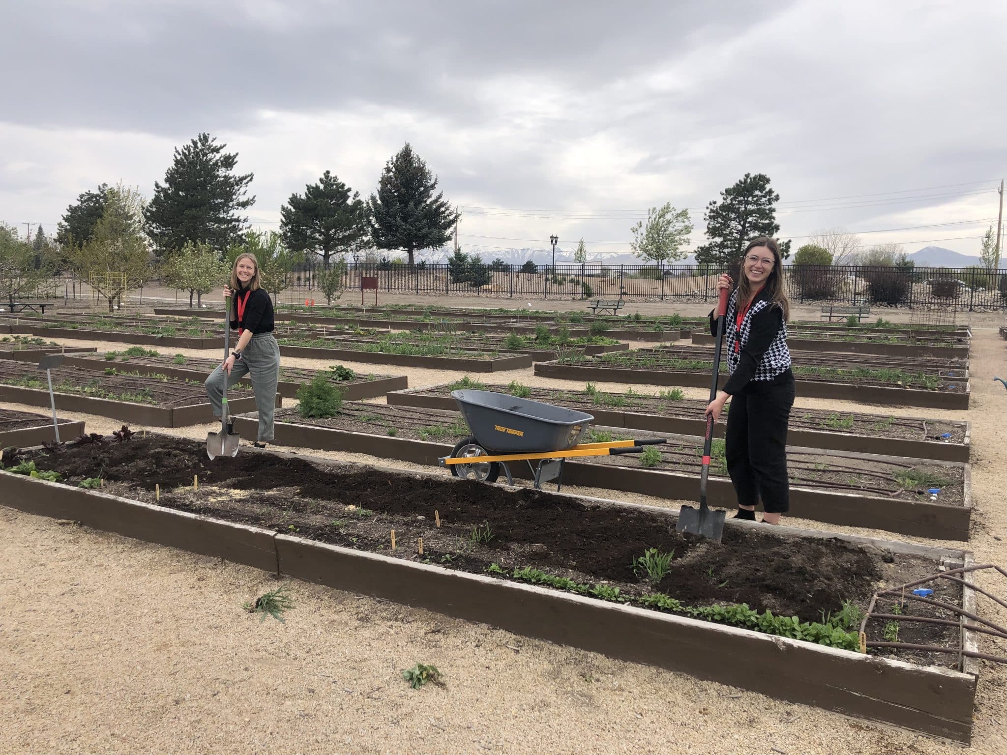 2022 Merit Employee Garden Accomplishments: Planting Seeds for Success ...