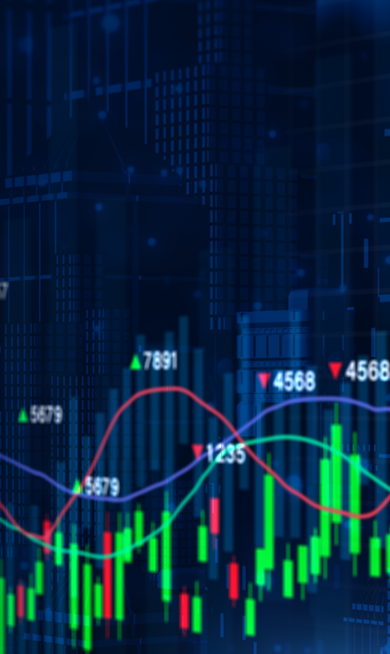 Investors Information - Creating Value Globally since 1987